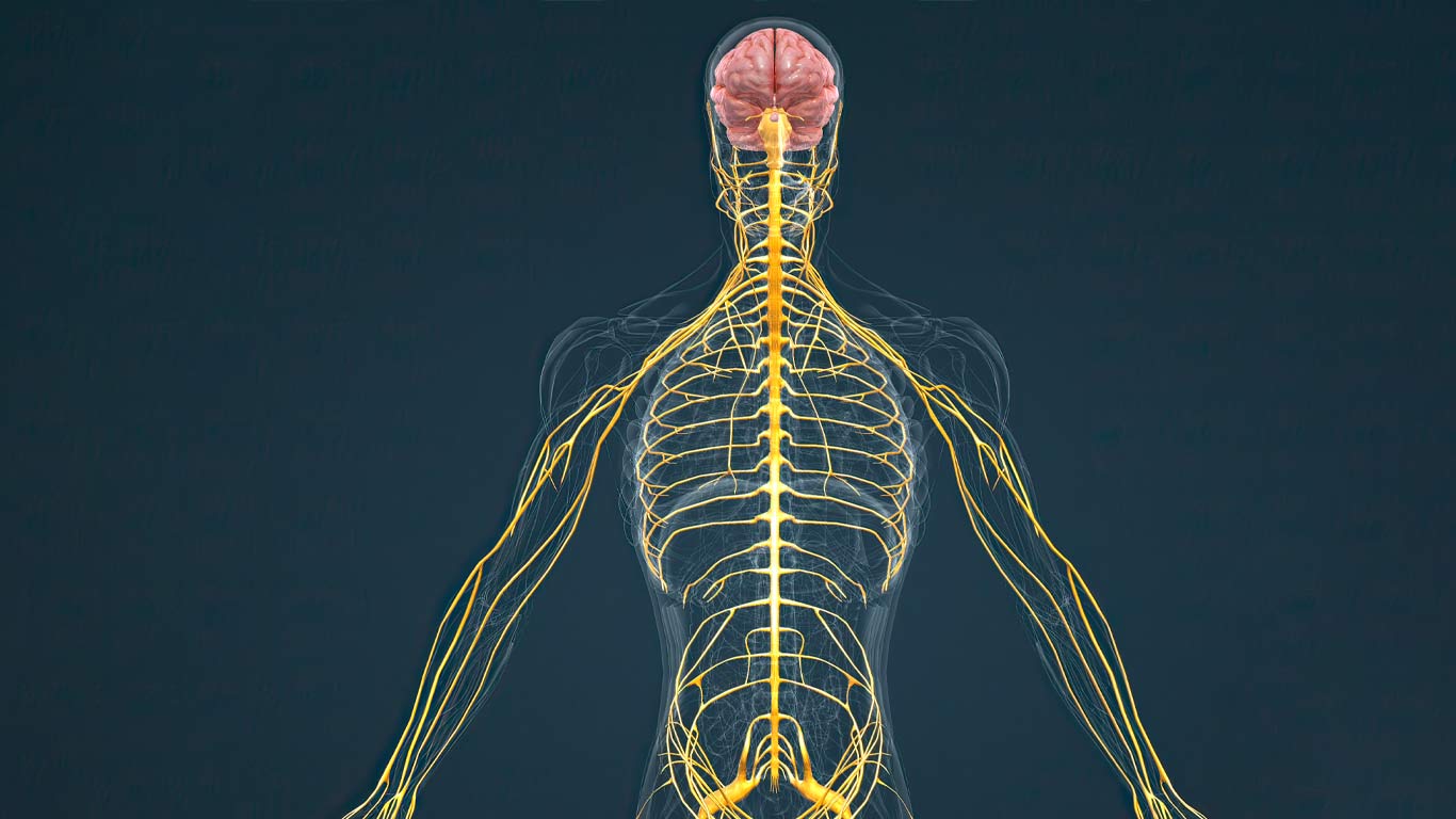 Peripheral Nerve Stimulation Procedure | Comprehensive Pain Management